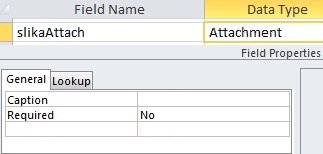 Vrste podataka - ATTACHMENT - Prikaz slika /DATA TYPE - ATTACHMENT - IMAGE/