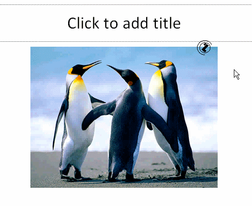 POWERPOINT-Slika /PICTURE/-Promjena veličine /RESIZE PICTURE/
